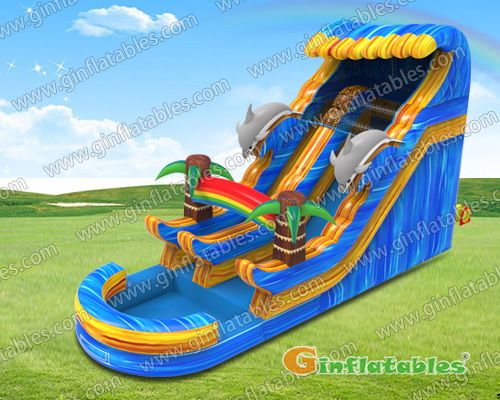 Dolphin Water Slide: A Guide to Summer Fun | Inflatables | News ...